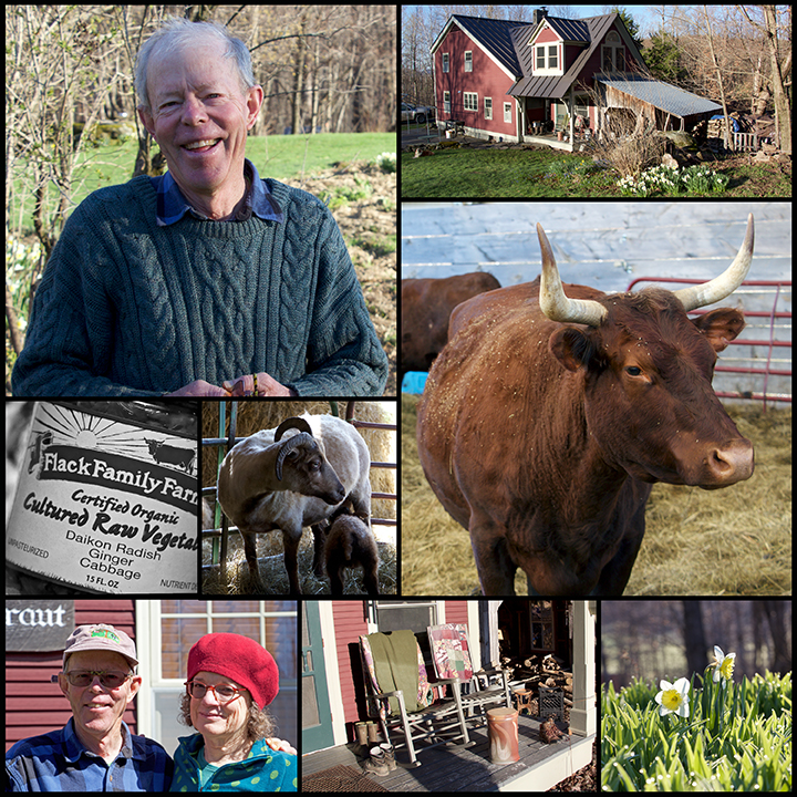 ROUTE DU LAIT CRU | RAW MILK TRAIL